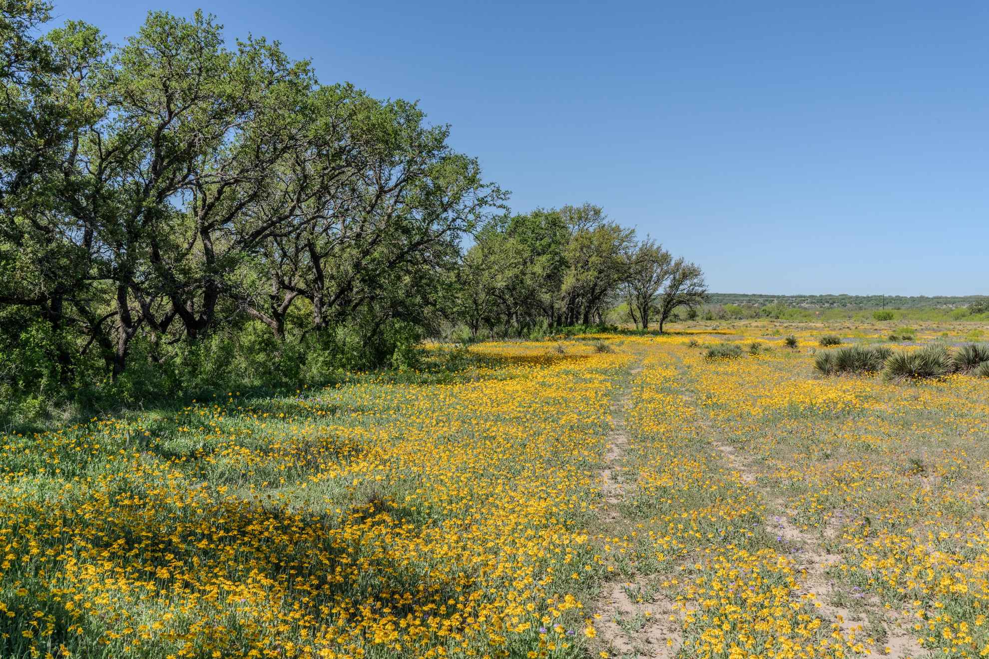 Ahern Ranches | Premium Texas Ranches